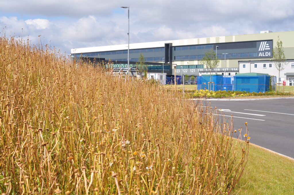 Blogs & News - Harrowden